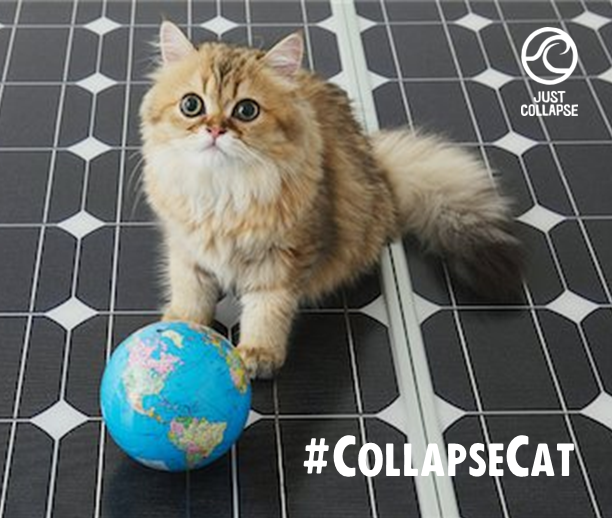 Solar – environmental time bomb – Just Collapse
